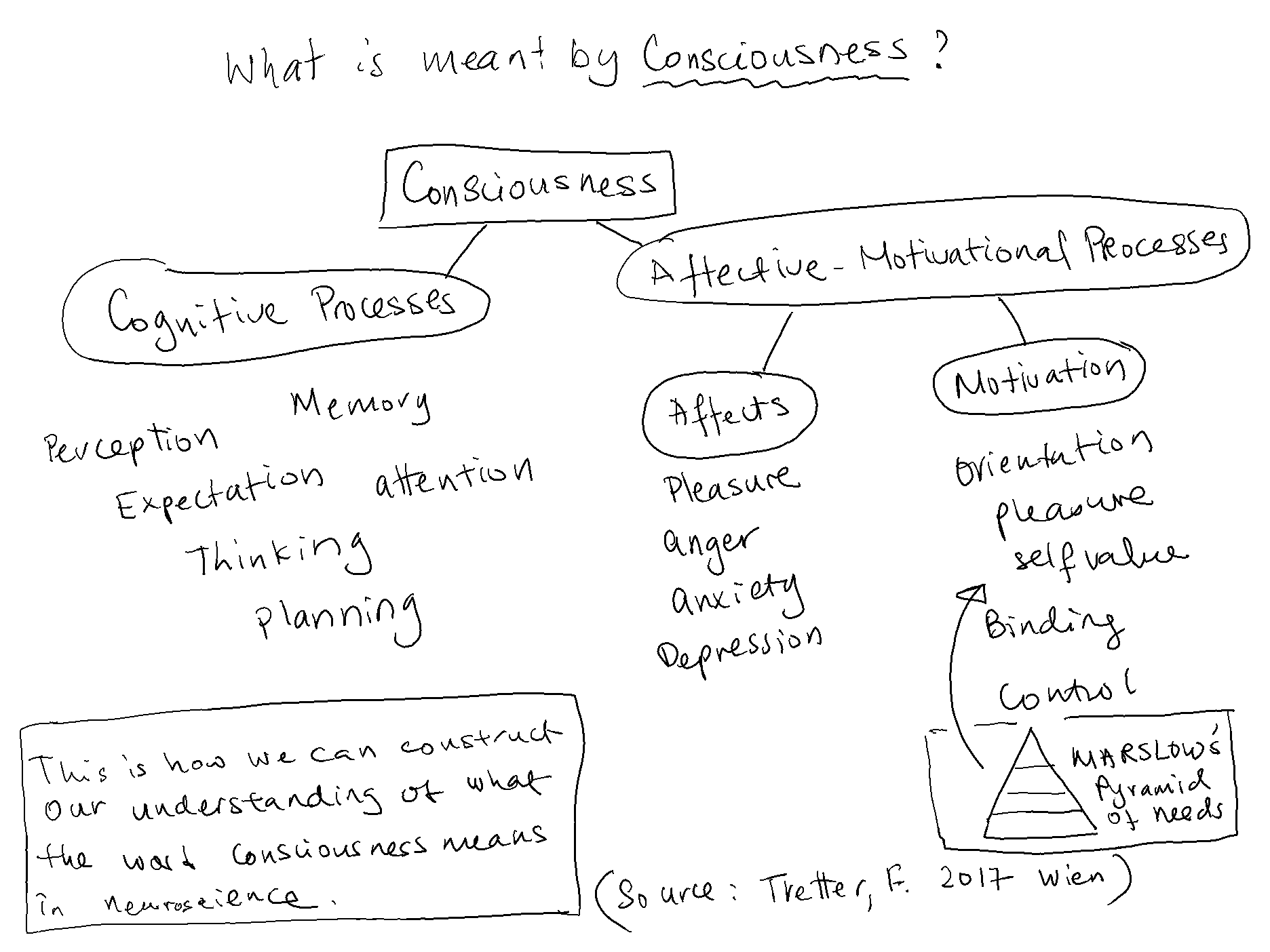 Neuroscience Basic Emotions The Psychotherapist
