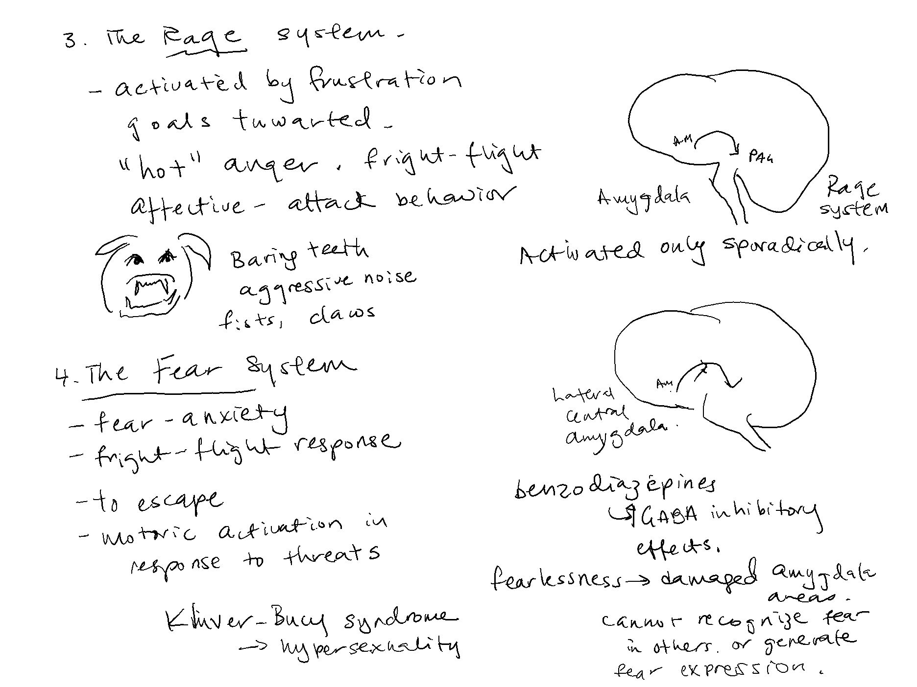 Neuroscience Basic Emotions The Psychotherapist